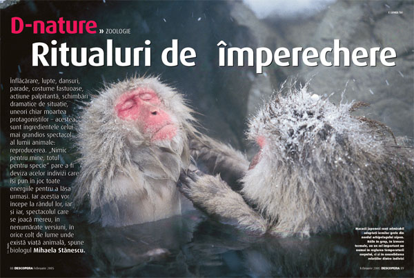 Ritualuri de imperechere