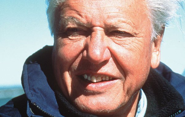 Sir David Attenborough: Suprapopularea e sursa tuturor problemelor de mediu
