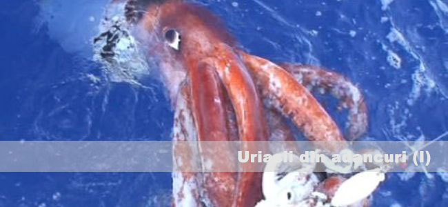 Uriasii din adancuri (I)