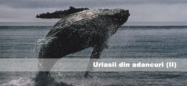 Uriasii din adancuri (II)