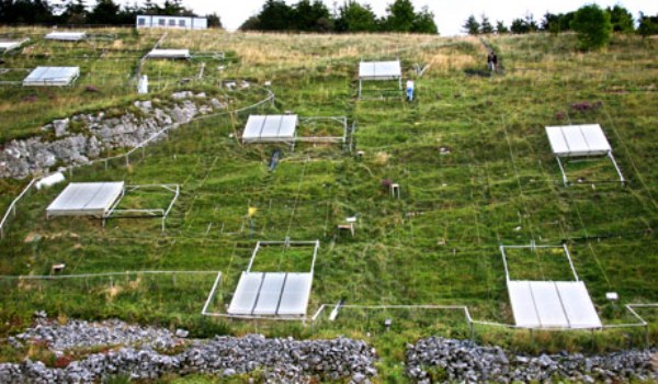 Pajistile alpine lupta impotriva incalzirii globale