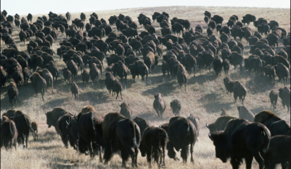 Marile migratii au nevoie de protectie