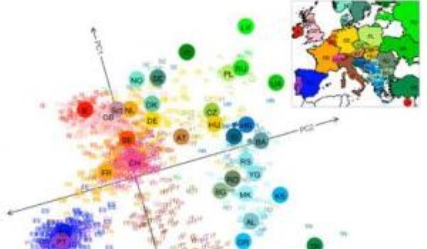 ADN-ul ne poate spune de unde vin stramosii nostri