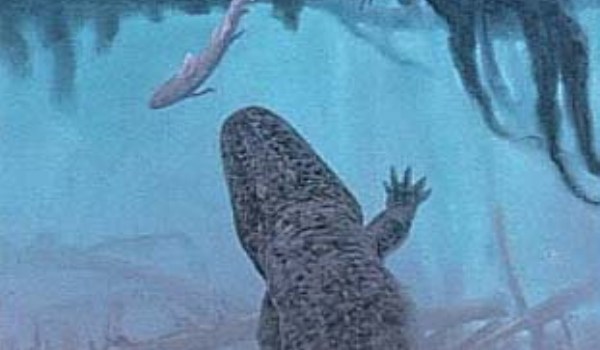 Amfibienii preistorici aveau dinti enormi