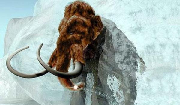 Vom mai reusi sa clonam mamutul