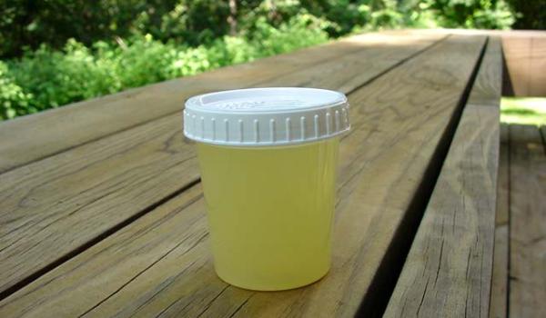 Omenirea produce 580 miliarde litri de urina saptamanal