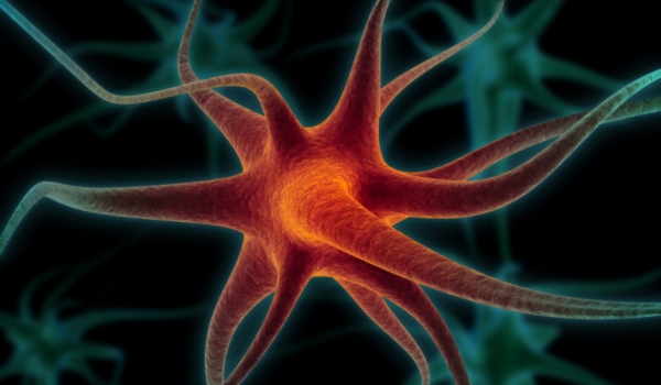 Au fost descoperite “intrerupatoarele” somnului