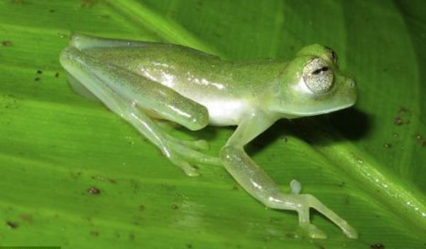 10 noi broaste pe altarul stiintei