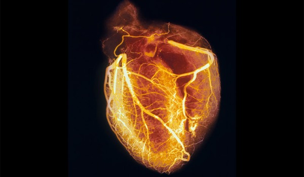 Inima umana isi poate regenera celulele