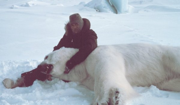 Eschimosii sunt suparati ca nu mai au voie sa vaneze ursi