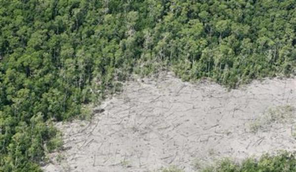 Am distrus 869 specii de vietati in ultimele secole