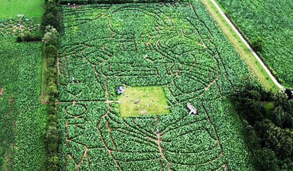 Aselenizarea a inspirat cel mai mare labirint viu din Europa