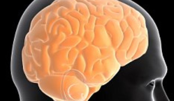 Creierul artificial ar putea deveni real in urmatorii 10 ani