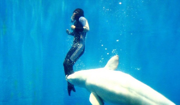 O balena a salvat viata unei chinezoaice