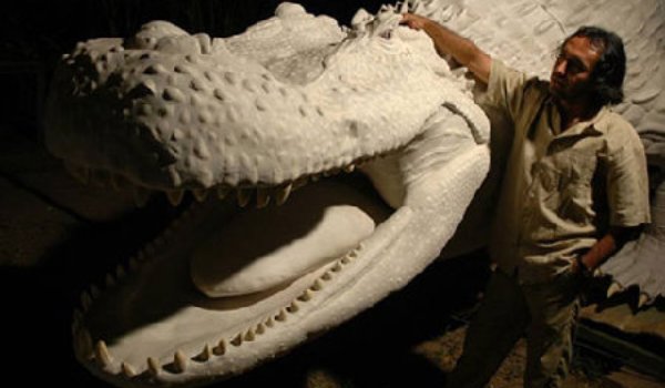 Purussaurus brasiliensis