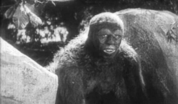 Pe urmele legendarului Om-Maimuta din Sumatra