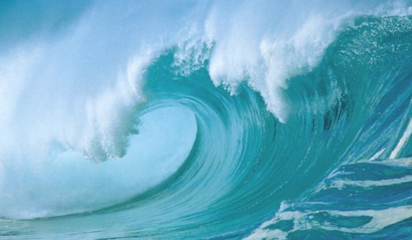 Oceanele nu mai fac fata emisiilor de CO2