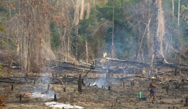 Secretele socante ale Amazonului (FOTO)