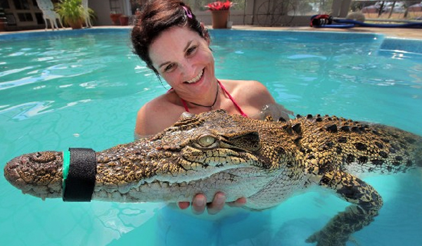 Ai curaj? Inoata alaturi de crocodili!