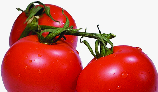 Rosiile super-dulci. Nou succes al geneticii