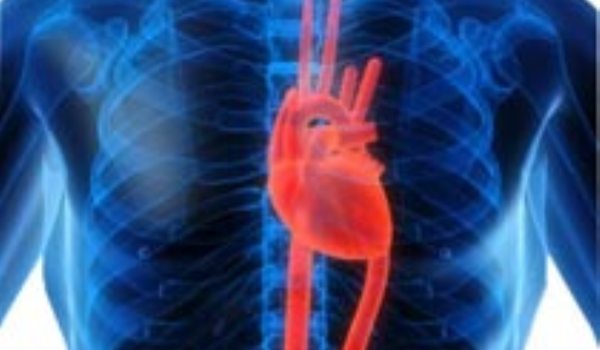 A fost descoperit un nou factor de risc cardiovascular