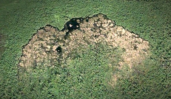 Castorii au construit un dig vizibil din spatiu