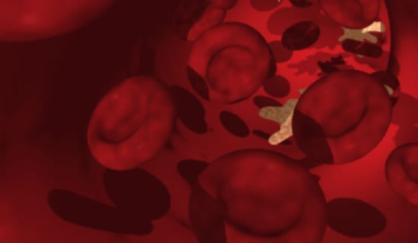 Secretele circulatiei sanguine