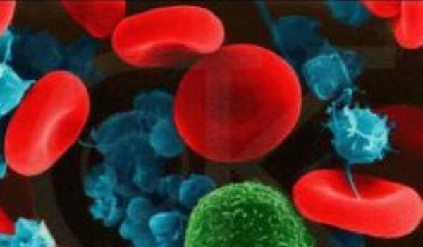 Sangele artificial va fi testat pe oameni