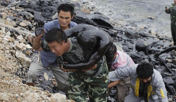 Marea Galbena se afla in fata unui dezastru ecologic