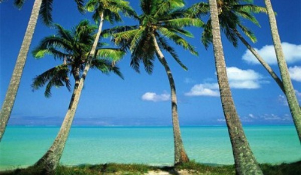 Efectele incalzirii globale sunt mai puternice la tropice