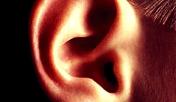 Te recunosc dupa urechi!