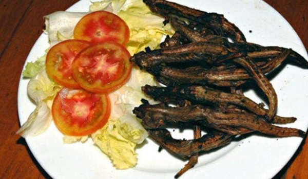 O noua soparla descoperita pe meniul de restaurant