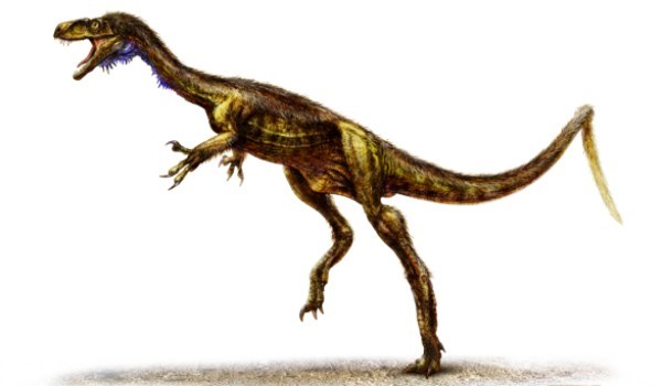 Un “bunic” pentru T.Rex (video)