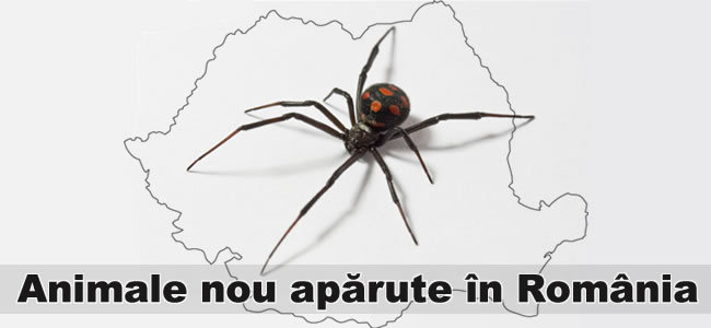 Animale nou apărute în România