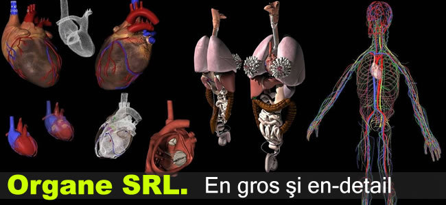 Organe SRL. En gros şi en-detail