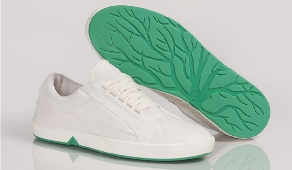 Plantezi tenişi, răsar flori