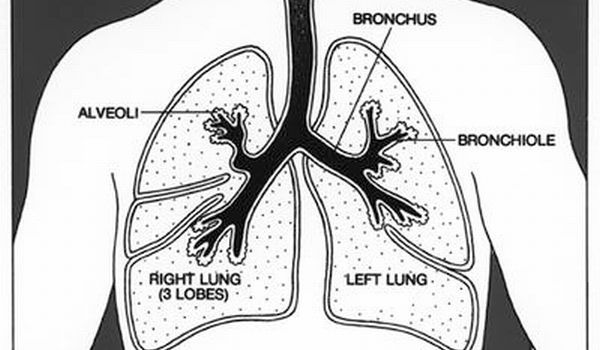 Primul transplant de bronhie artificială, realizat în Franţa
