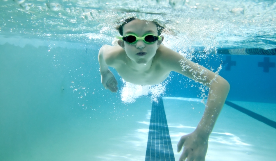 Oamenii sunt doar peşti modificaţi genetic, susţine un studiu