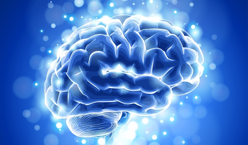 Transplantul de creier ne-ar oferi viaţa veşnică?