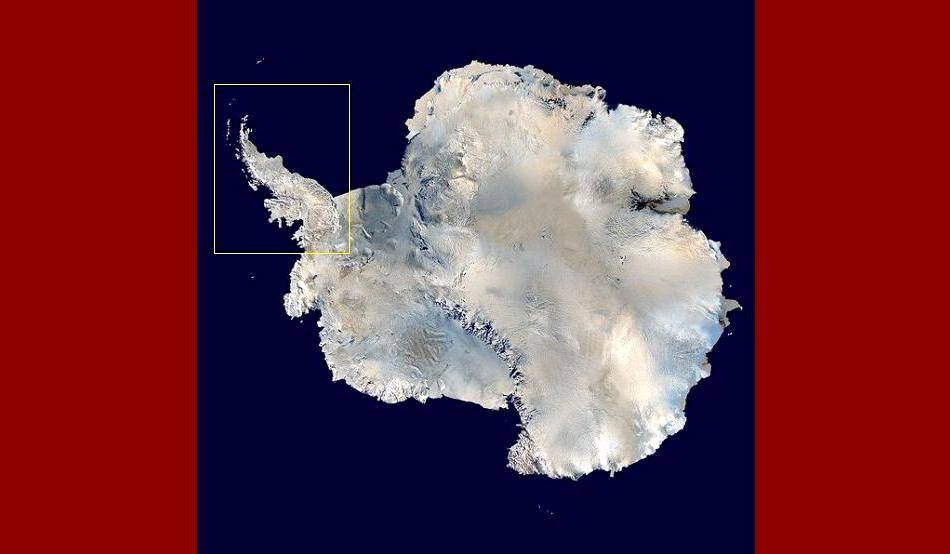 O banchiză din Antarctica s-a micşorat cu 85%