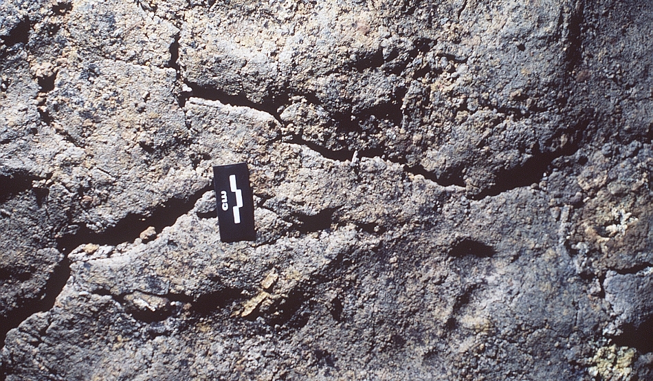 Arta rupestră din peştera Chauvet, cea mai veche şi mai detaliată din lume