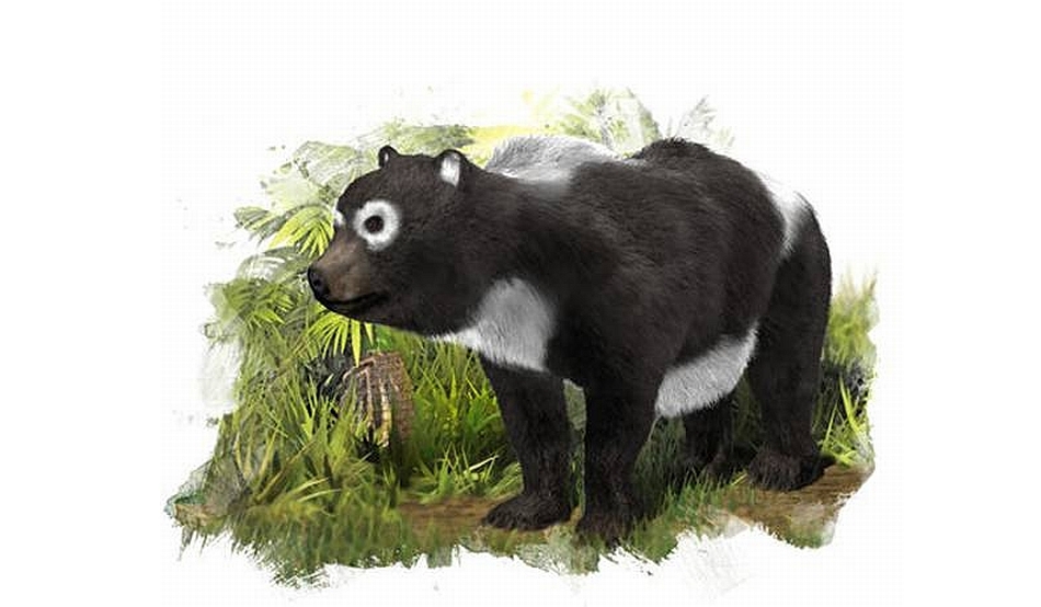 Un „văr” al ursului panda a trăit în Spania acum 11 milioane de ani