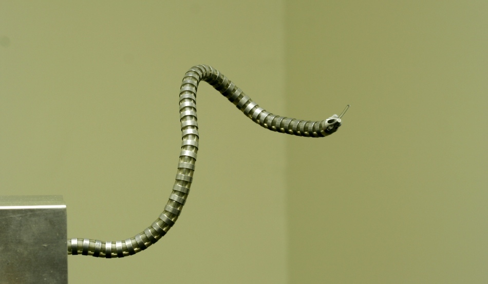 Robotul-şarpe explorează, operează şi salvează