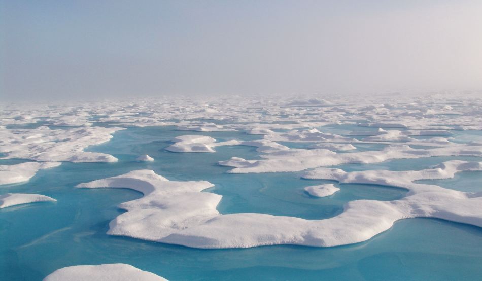 Oamenii de ştiinţă au făcut o descoperire uimitoare în Arctica