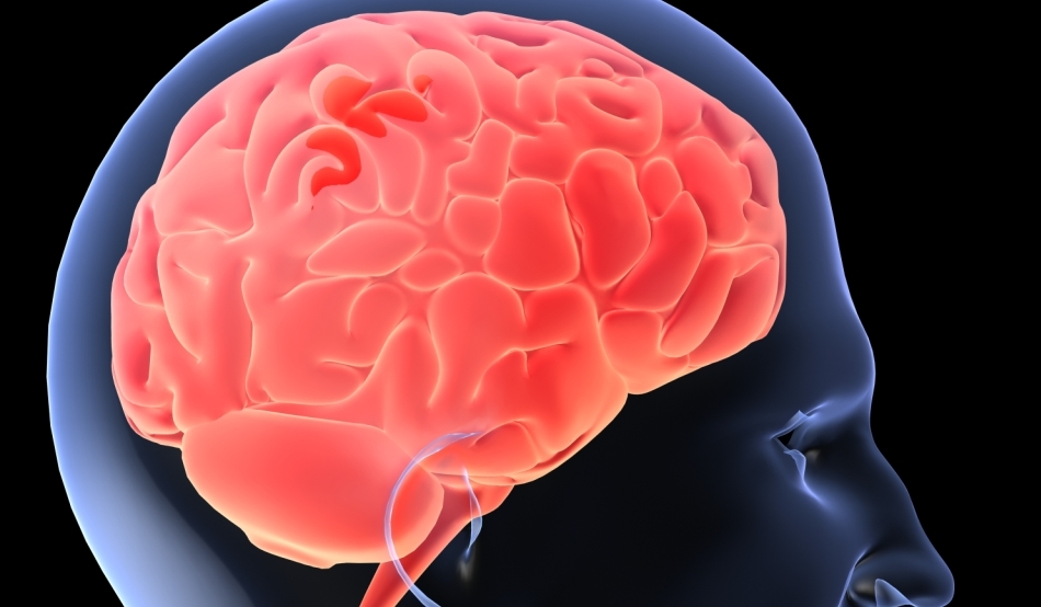 Creierul uman are propriul „detector” al ironiei!