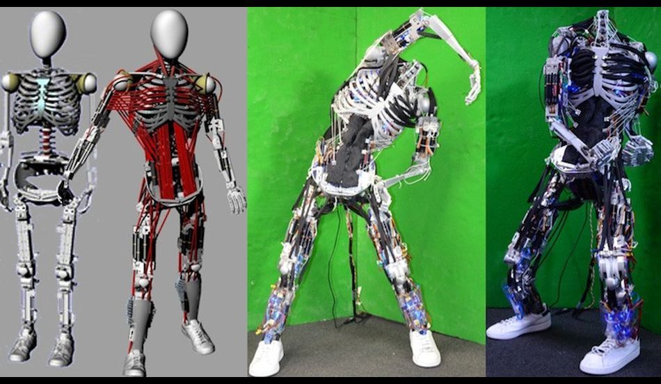 Kenshiro, robotul dotat cu un corp aproape uman (VIDEO)