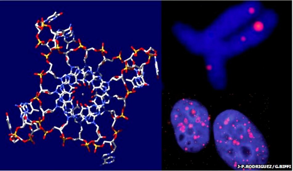 Celebrul dublu helix nu e unica „formă de prezentare” a ADN-ului ...