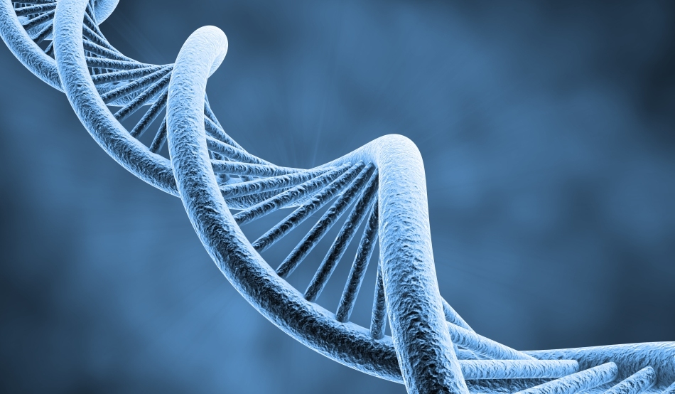 Elicea vieţii - cea mai mare descoperire ştiinţifică a secolului XX