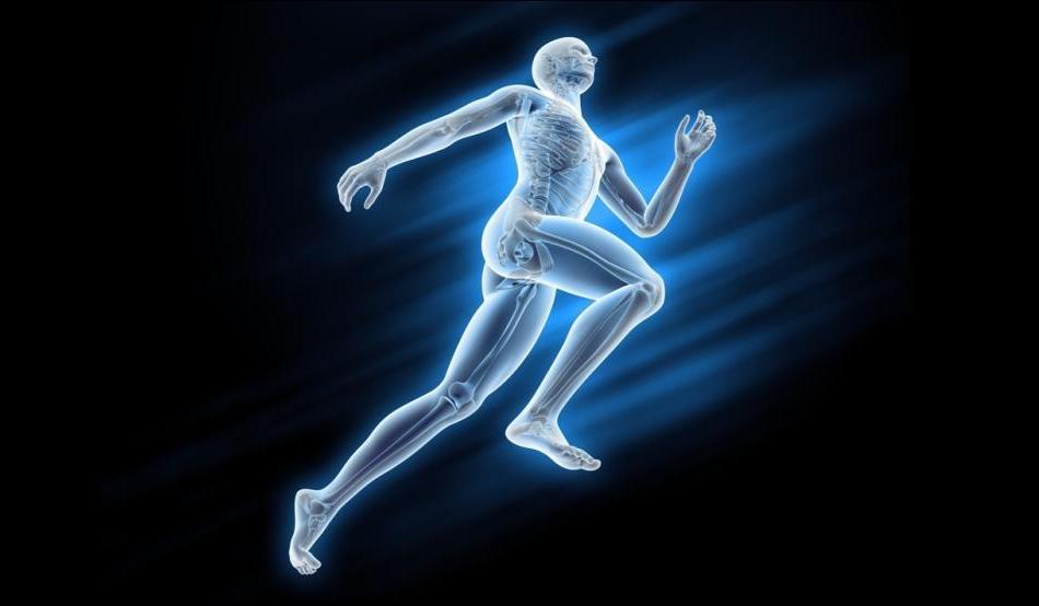 Cicatricele evoluţiei umane