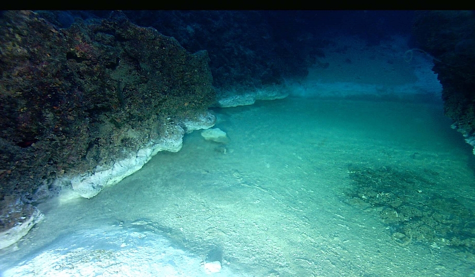 Au fost descoperite forme de viaţă într-un loc neaşteptat, ce devine ...